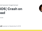 Ios Crash On Upload Issue 2 Nativescript Sample Imageupload Github