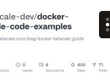 Github Tailscale Dev Docker Guide Code Examples Https Tailscale