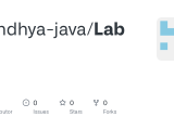 Github Sandhya Java Lab
