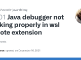 Java Debugger Not Working Properly In Wsl Remote Extension Issue