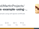 Github Davidjmartinprojects Https Example Using Self Signed