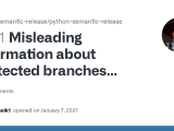 Misleading Information About Protected Branches Setup Issue 311
