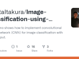 Image Classification Using Cnn With Multi Input Using Matlab