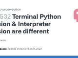 Terminal Python Version Interpreter Version Are Different Issue