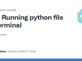 Running Python File In Terminal Issue 52 Tht13 Python Vscode Github