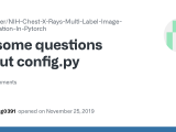Some Questions About Config Py Issue 2 N0obcoder Nih Chest X Rays