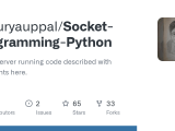 Github Shauryauppal Socket Programming Python Client Server Running