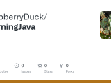 Github Raspberryduck Learningjava