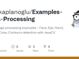 Github Aknkaplanoglu Examples Java Processing Java Image Processing