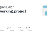 Github Malgudilab Networking Project