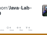 Github Cshorr Java Lab 010