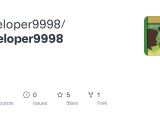 Github Developer9998 Developer9998