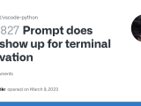 Prompt Does Not Show Up For Terminal Activation Issue 20827