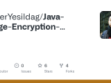 Github Caneryesildag Java Image Encryption Decryption