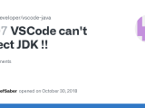 Vscode Can T Detect Jdk Issue 697 Redhat Developer Vscode Java