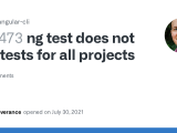 Ng Test Does Not Run Tests For All Projects Issue 21473 Angular