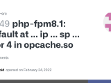 Php Fpm8 1 Segfault At Ip Sp Error 4 In Opcache So Issue