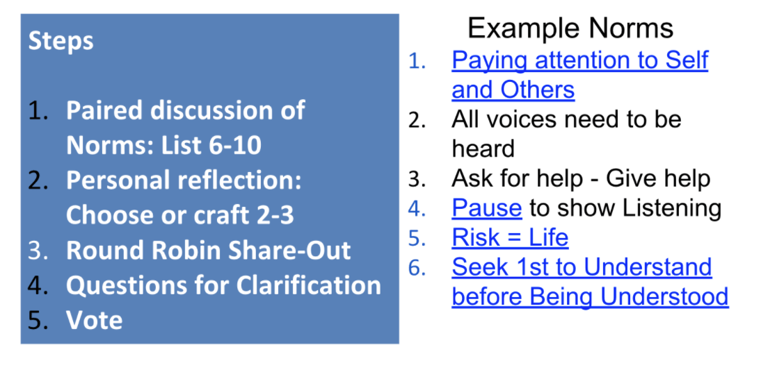 student-voice-making-learning-happen-opening-paths