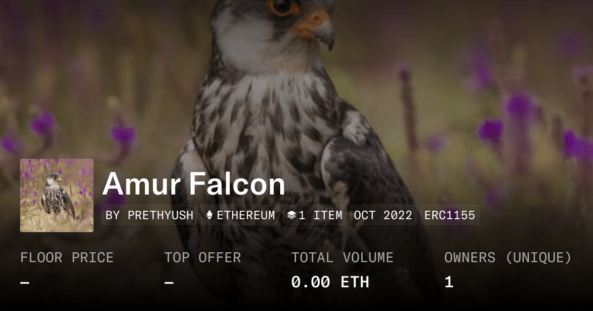 Opengraph Image Ts 29195387