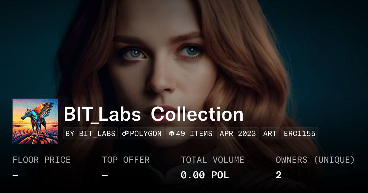 Bit Labs Collection Collection Opensea