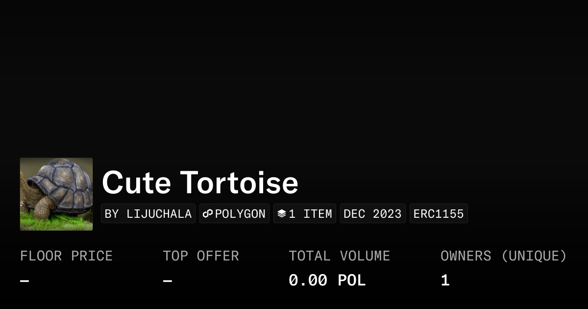 Cute Tortoise Collection Opensea