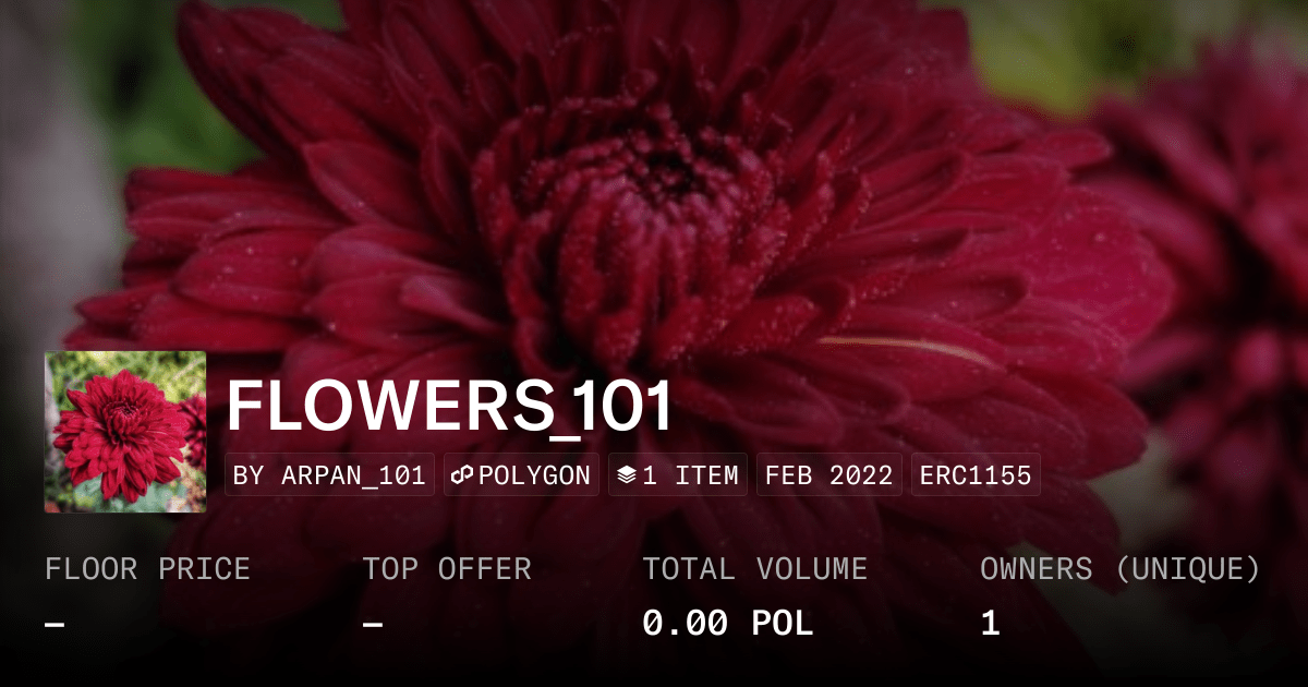 Flowers 101 Collection Opensea