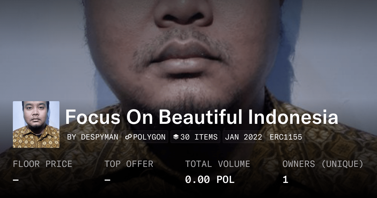 Focus On Beautiful Indonesia Collection Opensea