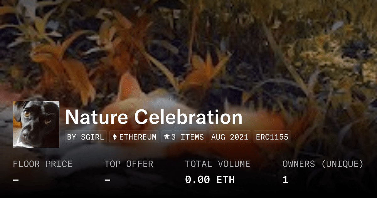 Opengraph Image Ts 29206073