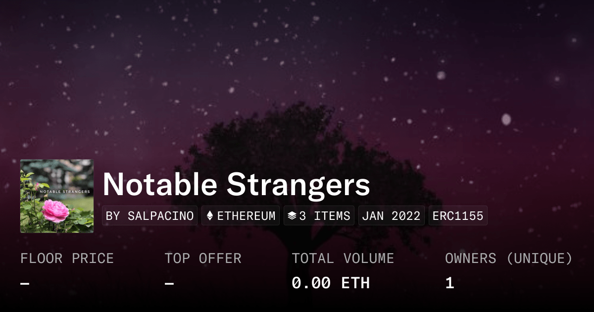 Notable Strangers Collection Opensea