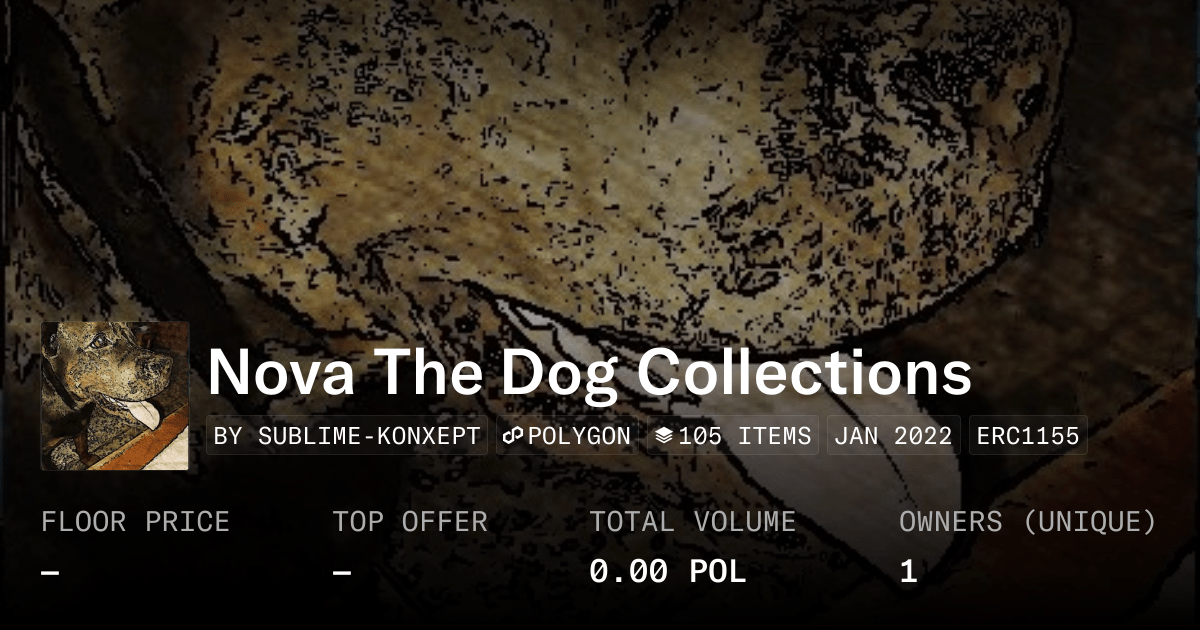Nova The Dog Collections Collection Opensea