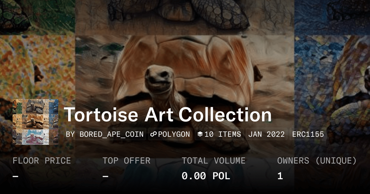 Tortoise Art Collection Collection Opensea