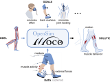 Opensim Moco