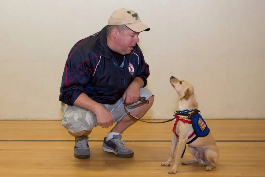 The Delta Dogs - Delta Dog | Meet the Operation Delta Dog Teams