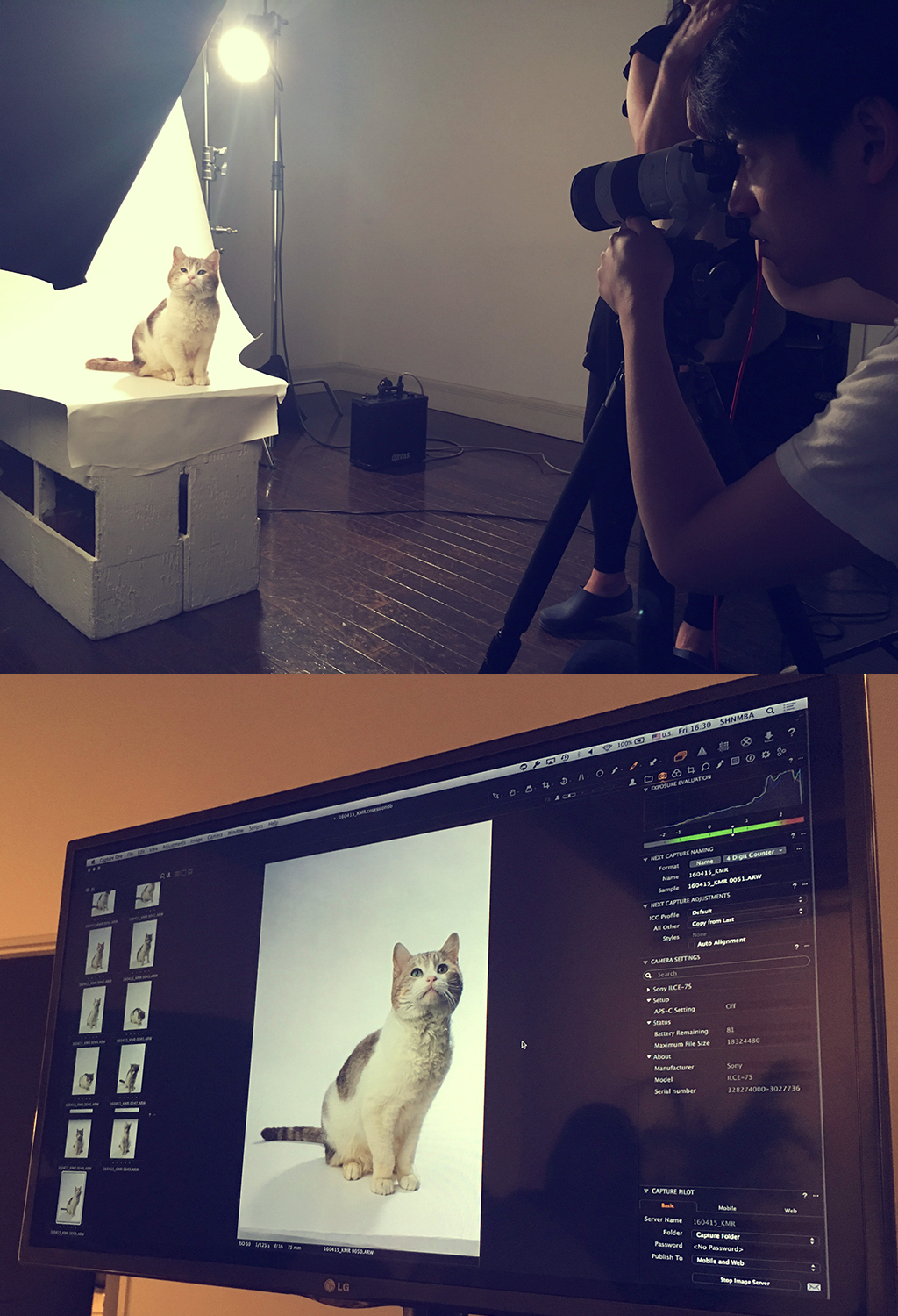 First Cat-Pop Group "SHINyan" Gets Trailer - oprainfall