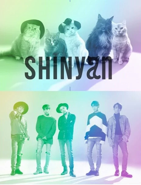 First Cat-Pop Group "SHINyan" Gets Trailer - oprainfall