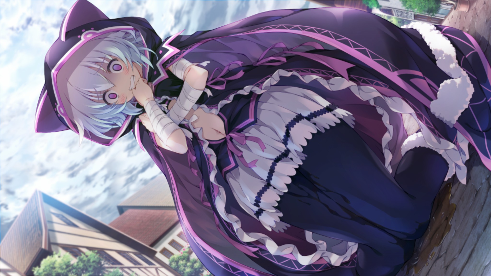 (18+)REVIEW: Re;Lord 2 ~The witch of Cologne and black cat~ - oprainfall