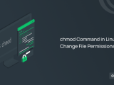 Chmod Command In Linux Guide To Change File Permissions