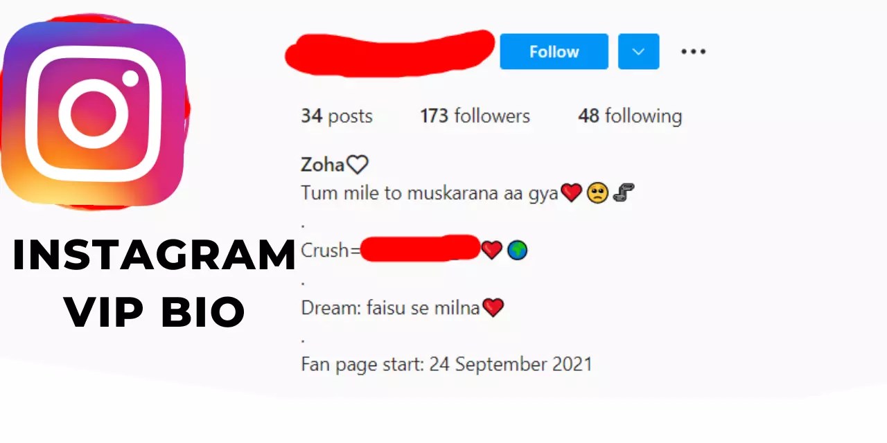 101+ Instagram VIP Bio | Stylish VIP Bio For Instagram For Boys And ...