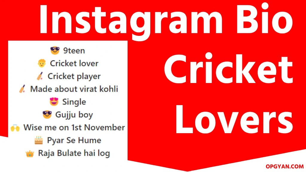 100+ Instagram Bio Cricket Lover 2024 (Copy & Paste) - OPGYAN