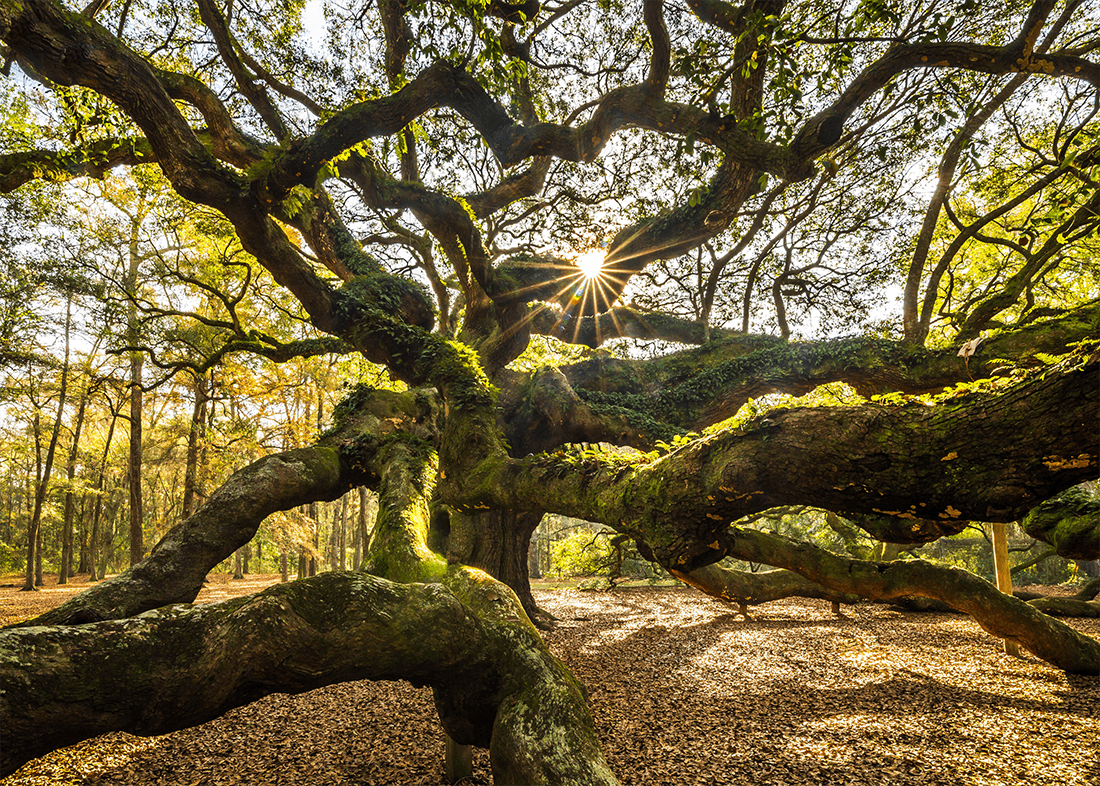 11 Unique Places to Visit in the USA - Opting Out of Normal