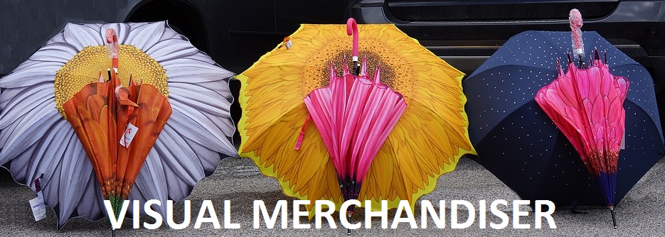 Visual Merchandiser: Meaning, Qualities, and Educational Qualifications ...