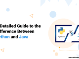 Python Vs Java A Detailed Guide 2024 By Orion S Experts