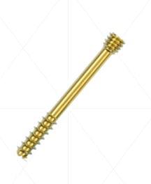Headless Compression Screw - Ortho House