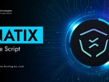 Natix Clone Script Osiz