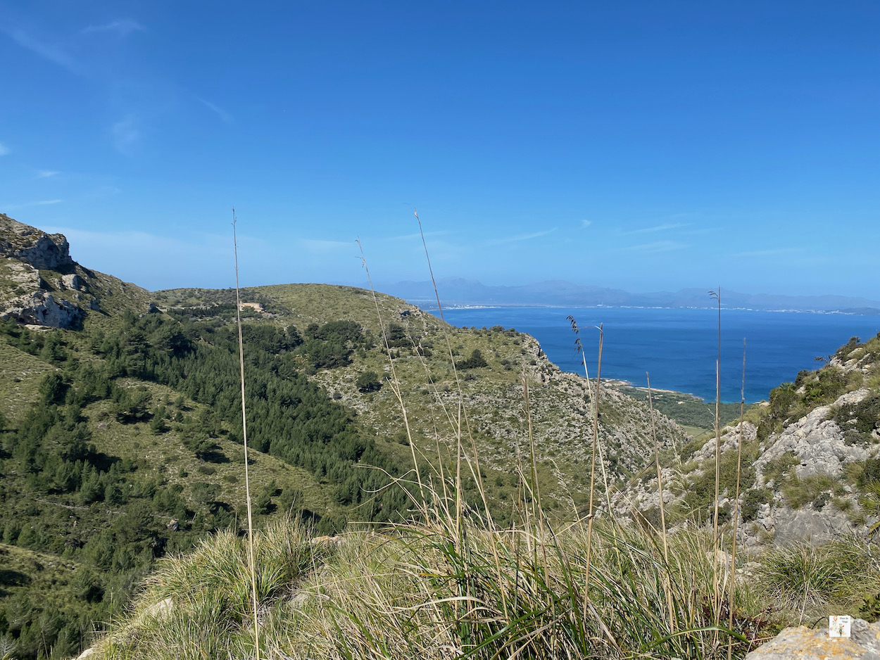 Excursiones desde Betlem (Mallorca) | Osos de Viaje