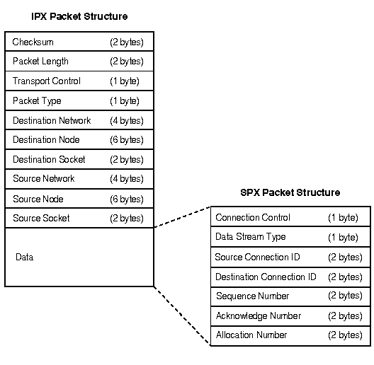 PROTOCOLOS DE COMUNICACION | INMORTAL