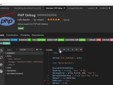 Php Debug With Xdebug Flyenv