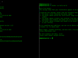 Docker Run Image Bash Example An Easy Guide For Beginners Bash Linux
