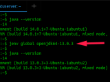 How To Manage Multiple Java Versions With Jenv On Linux Ostechnix