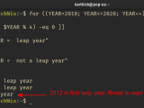 Bash For Loop Explained With Examples Ostechnix 60 Off